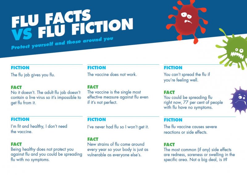 Flu facts vs flu fiction | HSC Public Health Agency