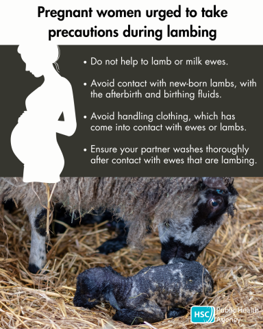 Pregnant women urged to take precautions during lambing season | HSC ...